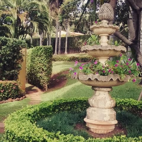 Chafariz para Jardim: Fotos, Modelos e Estilos para Escolher