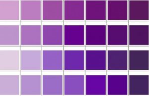 Decoração com Parede Roxa: Tons, Dicas e Como Fazer