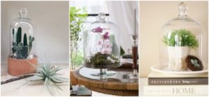 Redoma – O que é? + Como usá-la na decoração da sua casa!