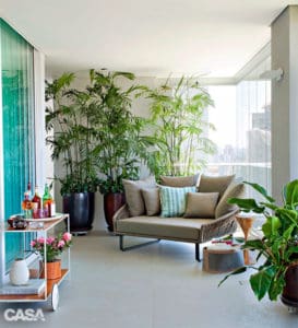 Plantas para Varanda: +50 Ideias e Espécies Surpreendentes!