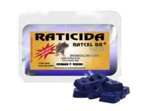 Veneno para Ratos – Melhores Tipos + Como Fazer em Casa!