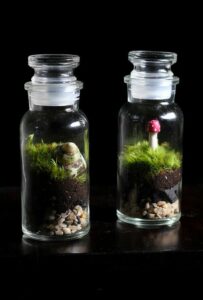 Mini Terrário: +40 Ideias Fofas de Terrários Pequenos!