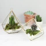 Mini Terrário: +40 Ideias Fofas de Terrários Pequenos!