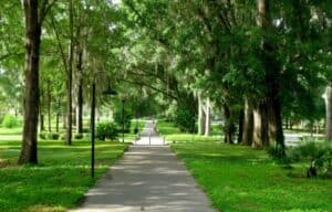 Parque Linear – O que é + 11 locais incríveis para conhecer!